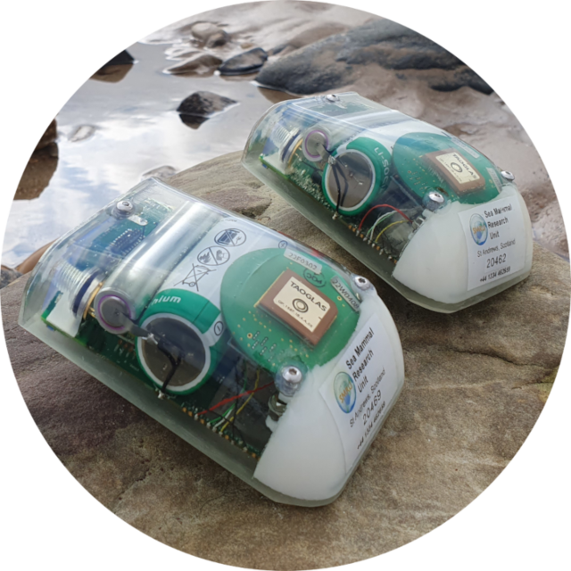 TIDE-GSM tag – SMRU Instrumentation